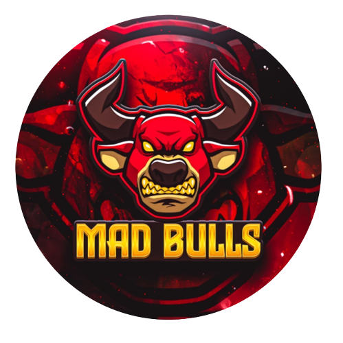 Mad Bull Esports – Playtics